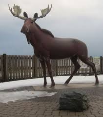 Run Report: Cow Bay's Moose Run 25K - EC inc.